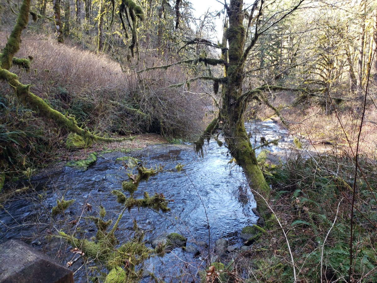 Site, set, launch – Alexander Patten